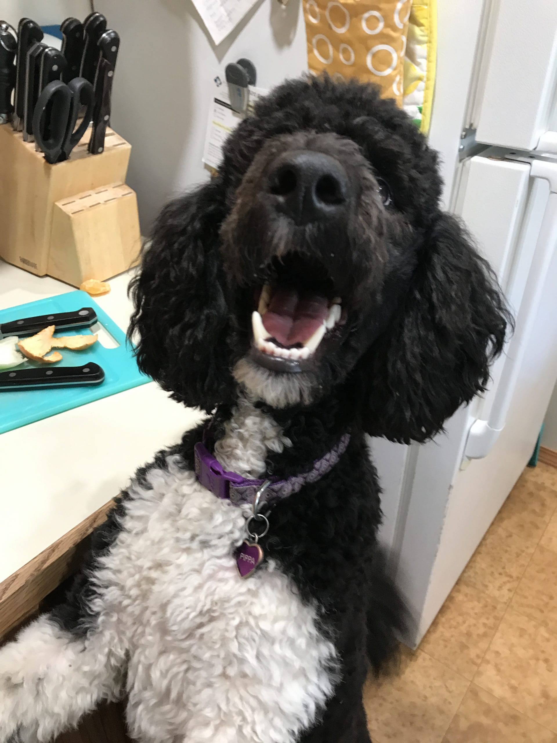 Blog - Way to Behave!